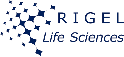 RIGEL LEADING SOLUTIONS - Home Page - Rigel Leading Solutions